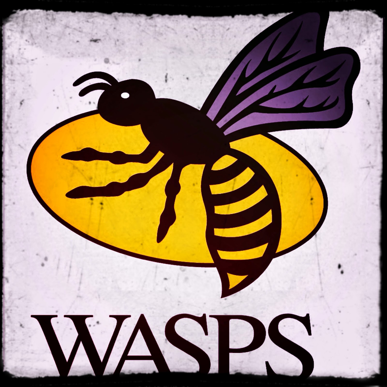 Out On The Full: Spotlight On - Wasps Rugby