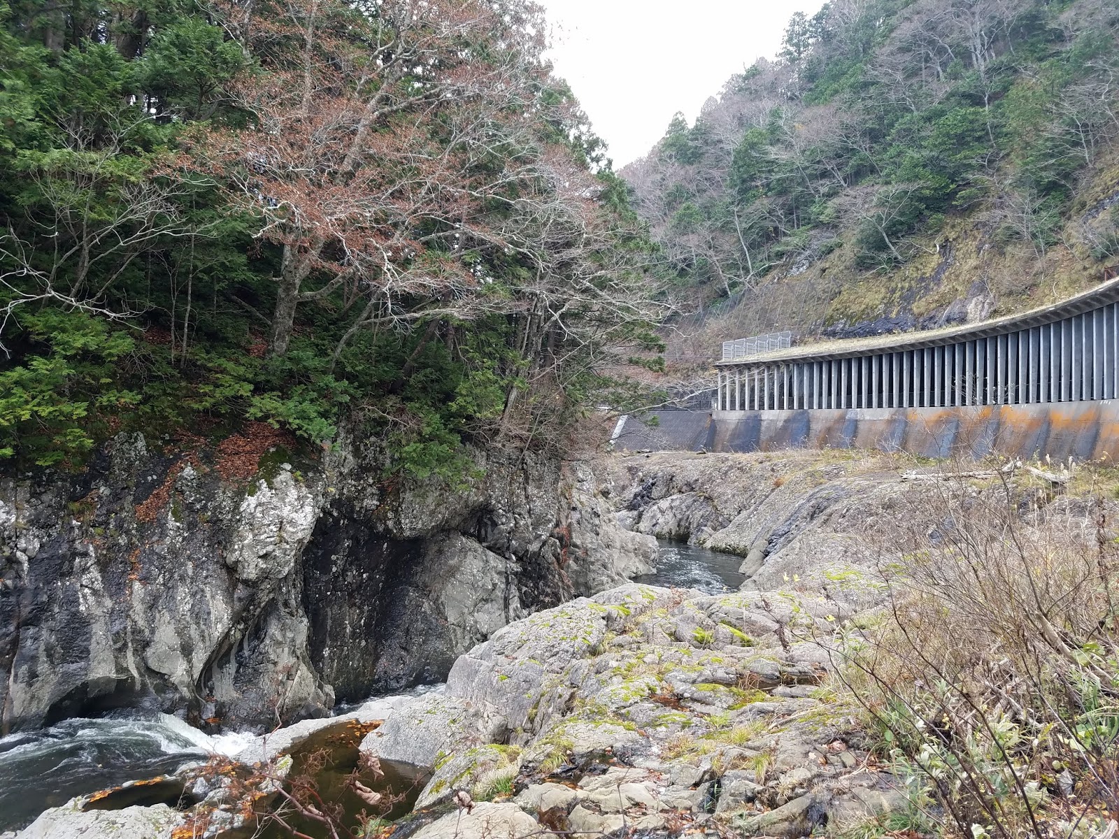 Blue Forest Chronicles: Road Trip to the Yagen Valley, Again / 薬研渓谷の旅、アゲイン