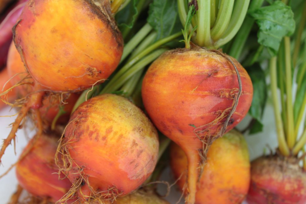 Towerwater Aan De Breede: Purple Carrots and Orange Beetroot