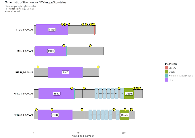 GitHub - cgpu/awesome-ggplot: A curated list of ggplot related R ...