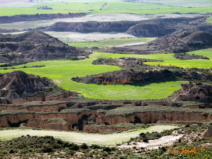 -PAISAJES DE LOS MONEGROS - Fotografias-Fernando Gonzalez Seral ...