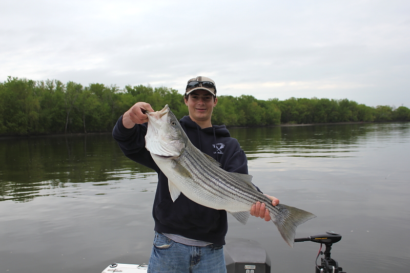 Passinthru Outdoors: Connecticut River Stripers
