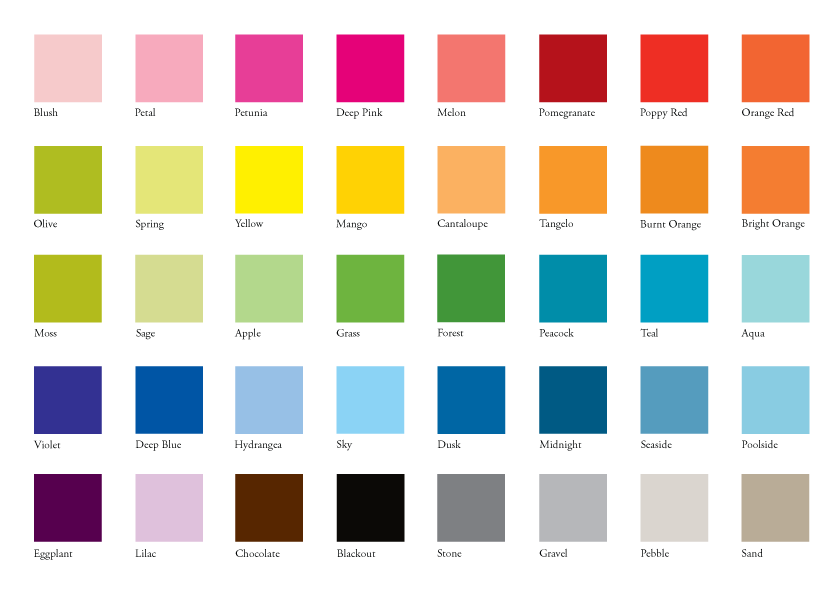 The Young McDonalds: Color Conundrum