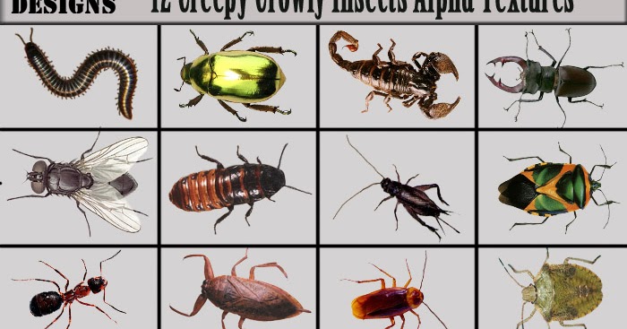 Ro!Act Designs: ..::RO!ACT::..DESIGNS 12 Creepy Crawly Insects