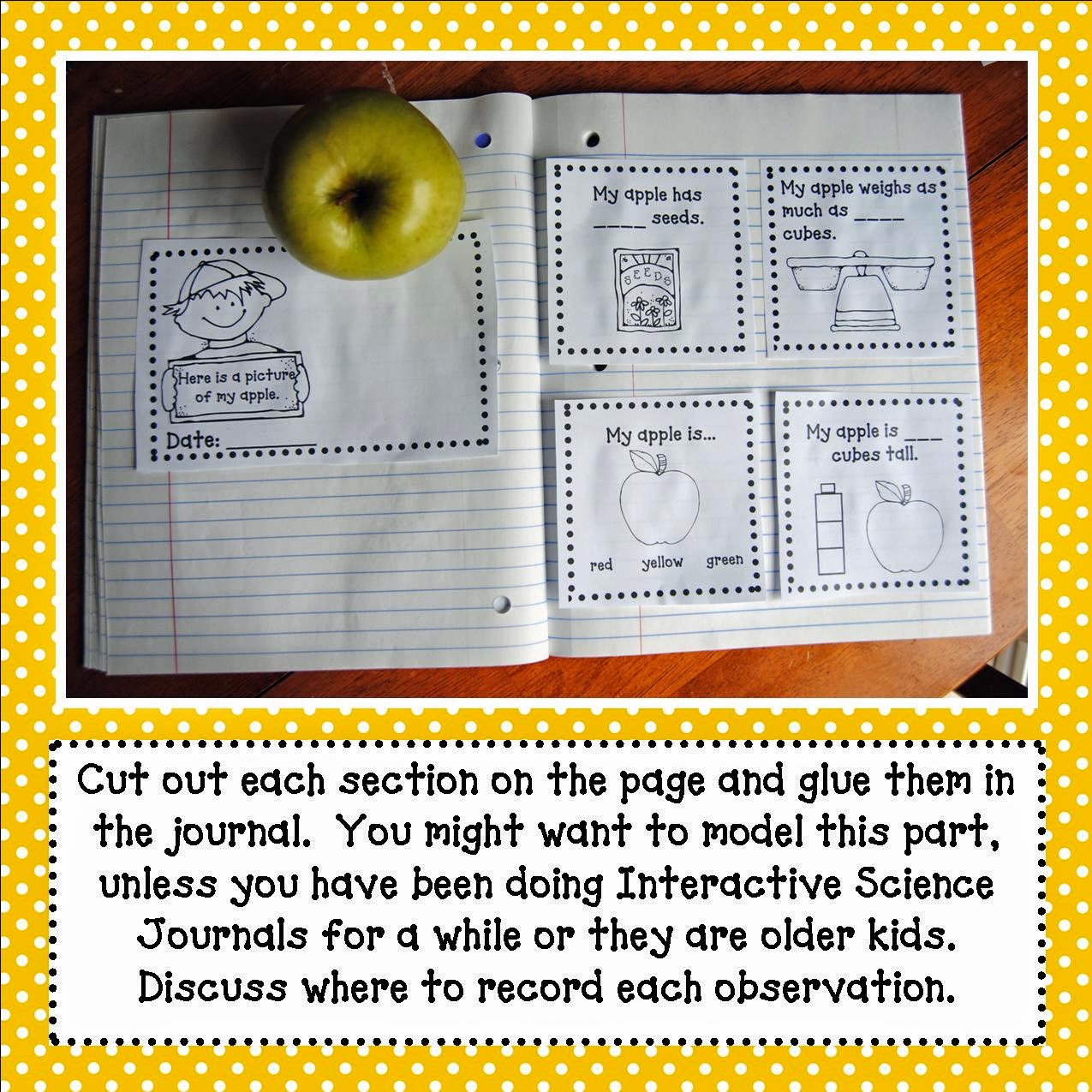 Teaching, Learning, & Loving: September 2014