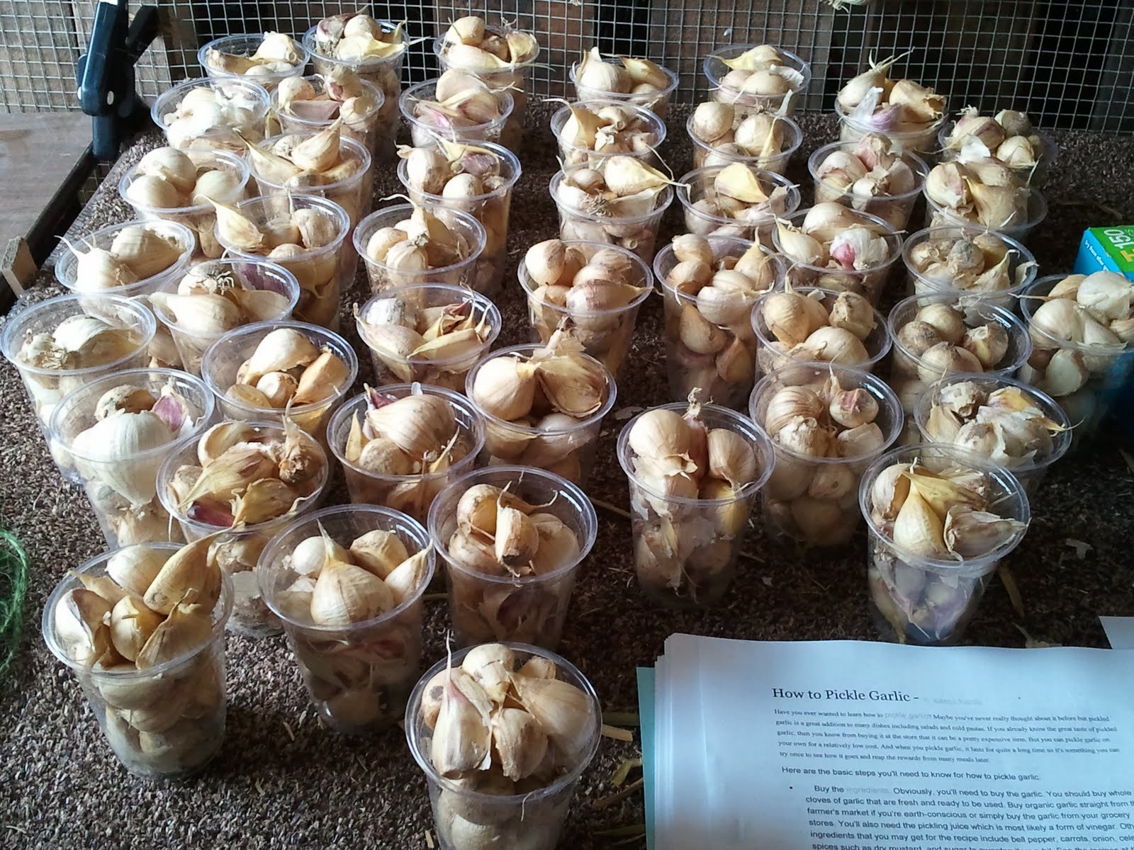 If Music be the Food of Love, Play On: 'Choose Your Own Garlic ...