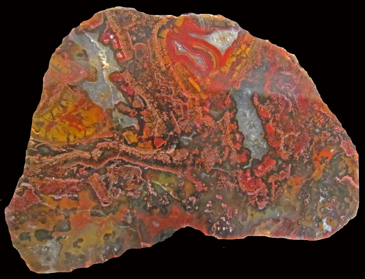 The Agatelady: Adventures and Events: Celebration of Agates Show -- Post 4