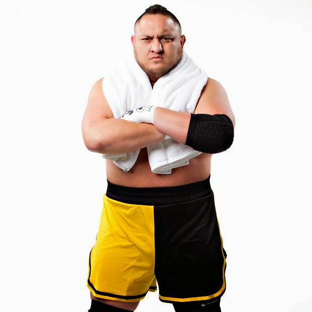 Enuffa.com: Top Ten Things: Must-See Samoa Joe Matches