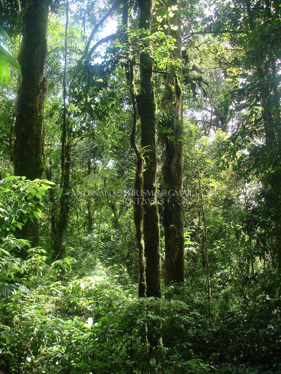 ANDINA ECOTURISMO. Turismo de Naturaleza. CAMINA - CONOCE - AMA ...