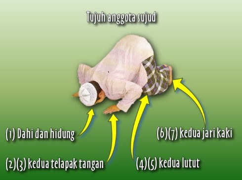 Bacaan Doa Sujud Dalam Sholat Lengkap Arab Latin Dan Artinya - Doa ...
