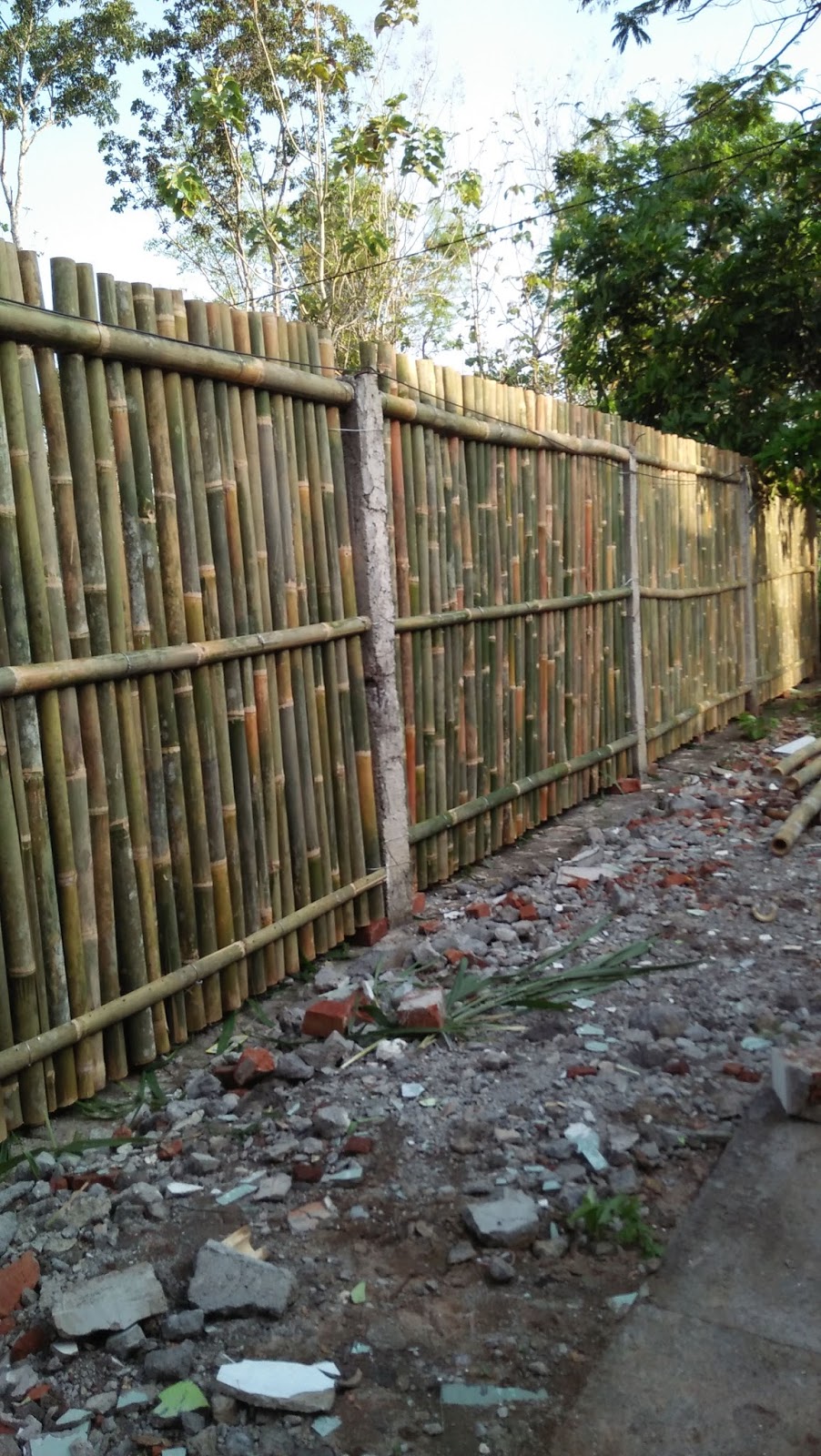 DLINGOFAMILY: JUAL BAMBU APUS BAMBU BETUNG TERMURAH DI JOGJA