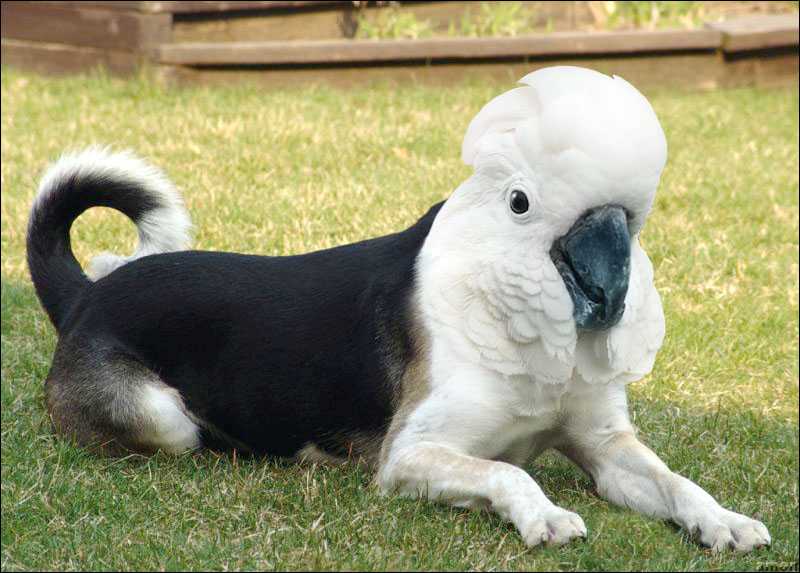 World's All Amazing Things, Pictures,Images And Wallpapers: Unreal ...