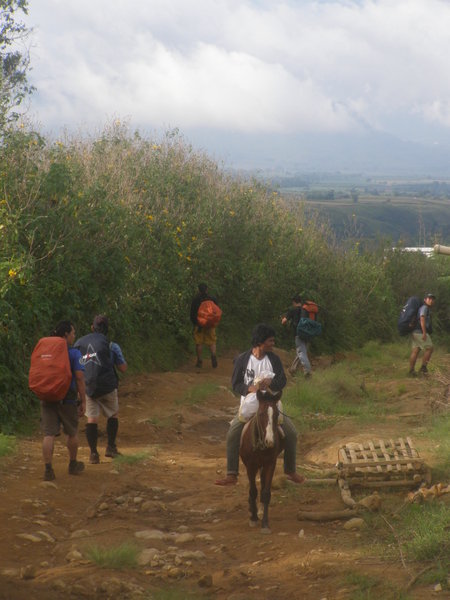 Tripping around CEBU: MT. KITANGLAD BUKIDNON