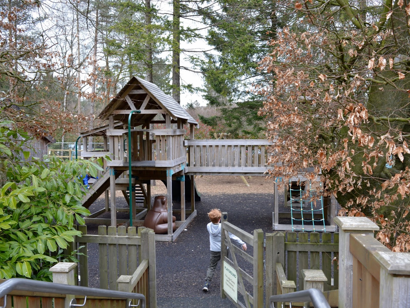 A Review of Darwin Forest & The Peak District with Tweens | North East ...