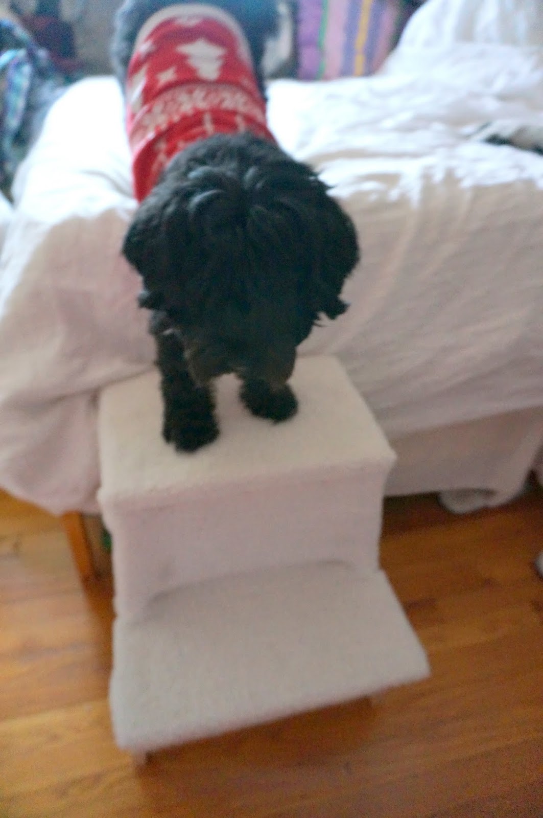 DIY Puppy Step Stool