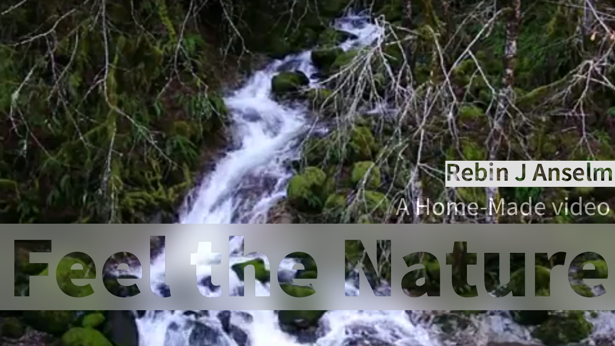 Feel the nature HD - a Home-Made video | Anselm and Anselm