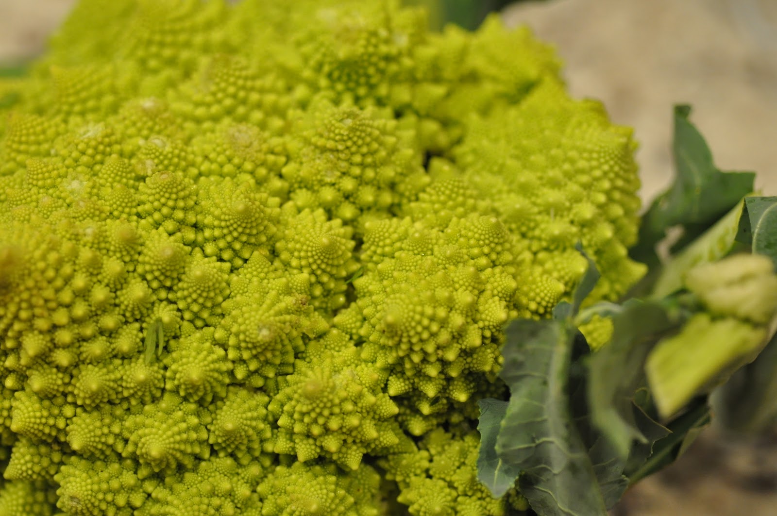 Lethally Delicious: Spicy Roasted Romanesco Cauliflower