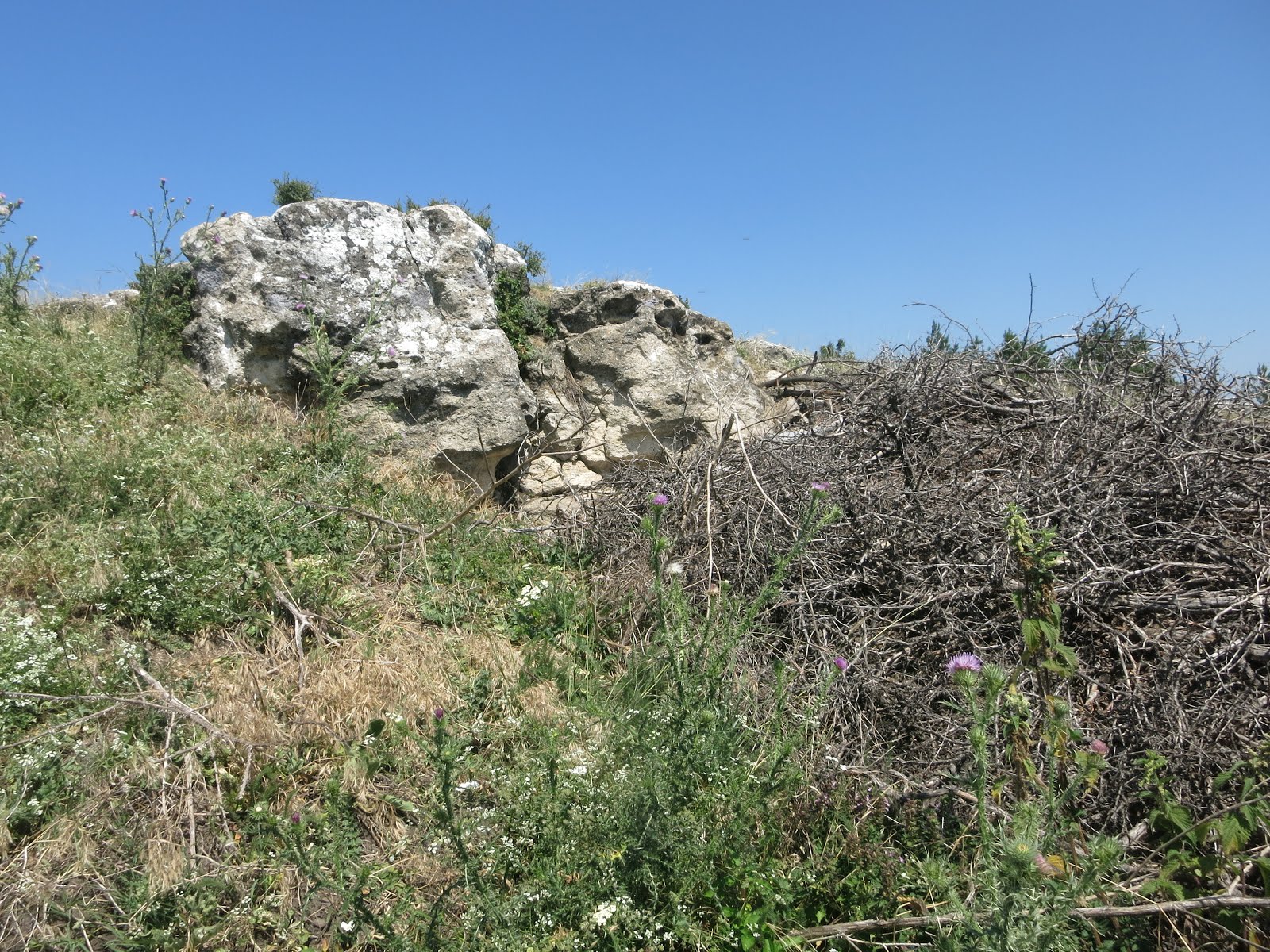 LEISURE&CHINESEro: Cetatea dacică de la Gruiu Dării, Comuna Pietroasele ...