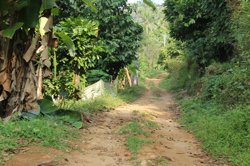 Kerala Hills: Vayalada - Balussery, Kozhikode