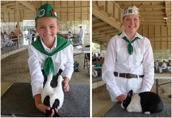 Welcome To The Rabbit Geek!: Yolo 4H Fair - Showmanship