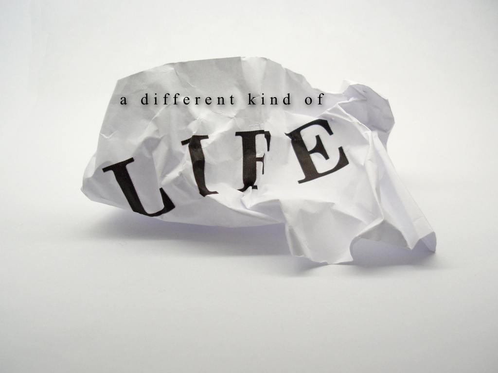 The Creekside "Water Cooler": A Different Kind of Life