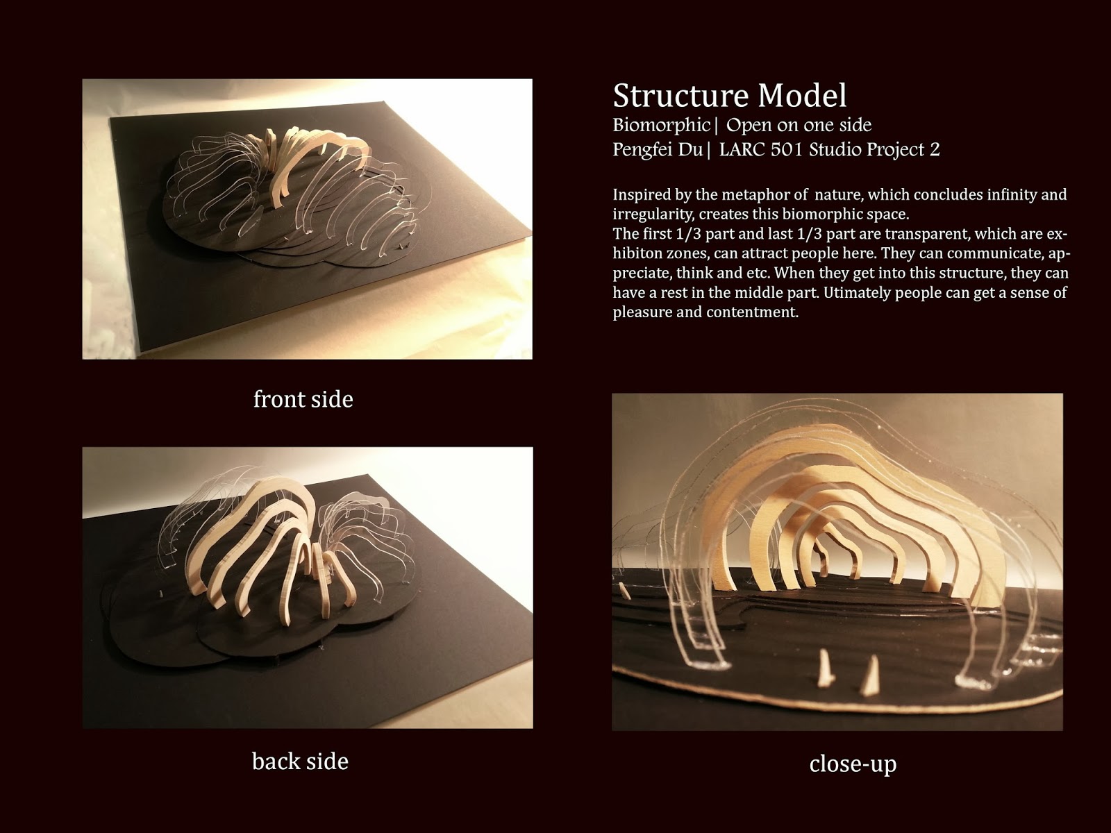 LARC 501 Design Methods and Processes: Structures Model Projects