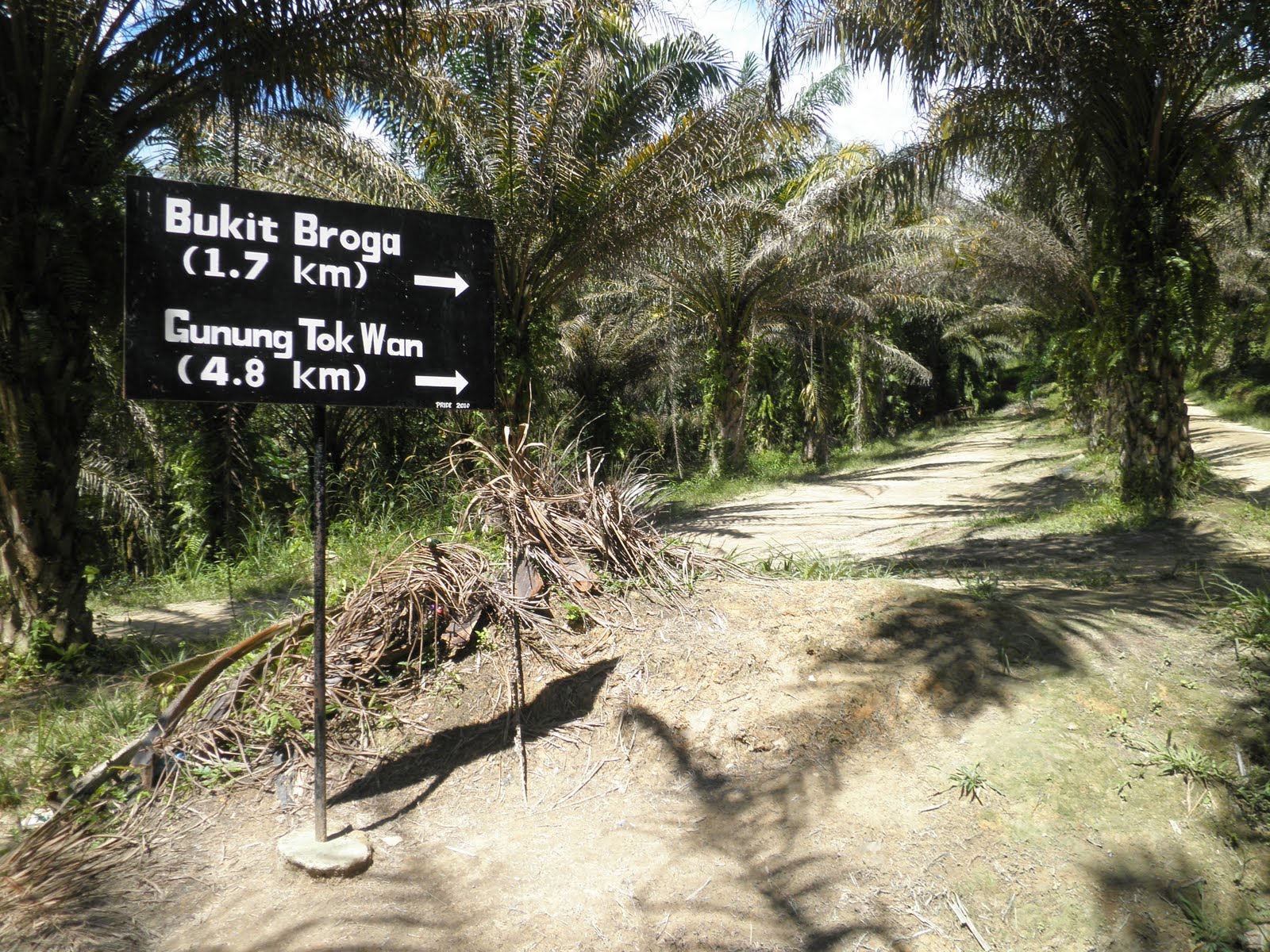 Sungai Siput Boy: Evening Hike at Broga Hill Semenyih @ bukit broga ...