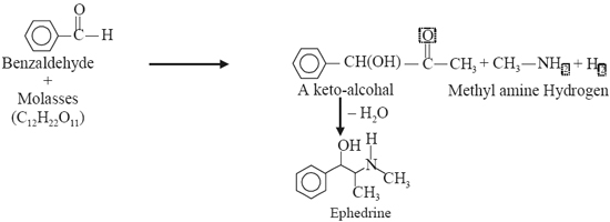 Phenylalanine-Derived Alkaloids
