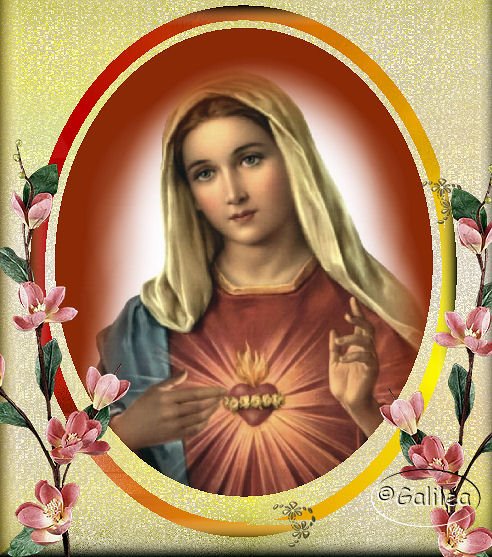 MI RINCON ESPIRITUAL: El Corazón de María