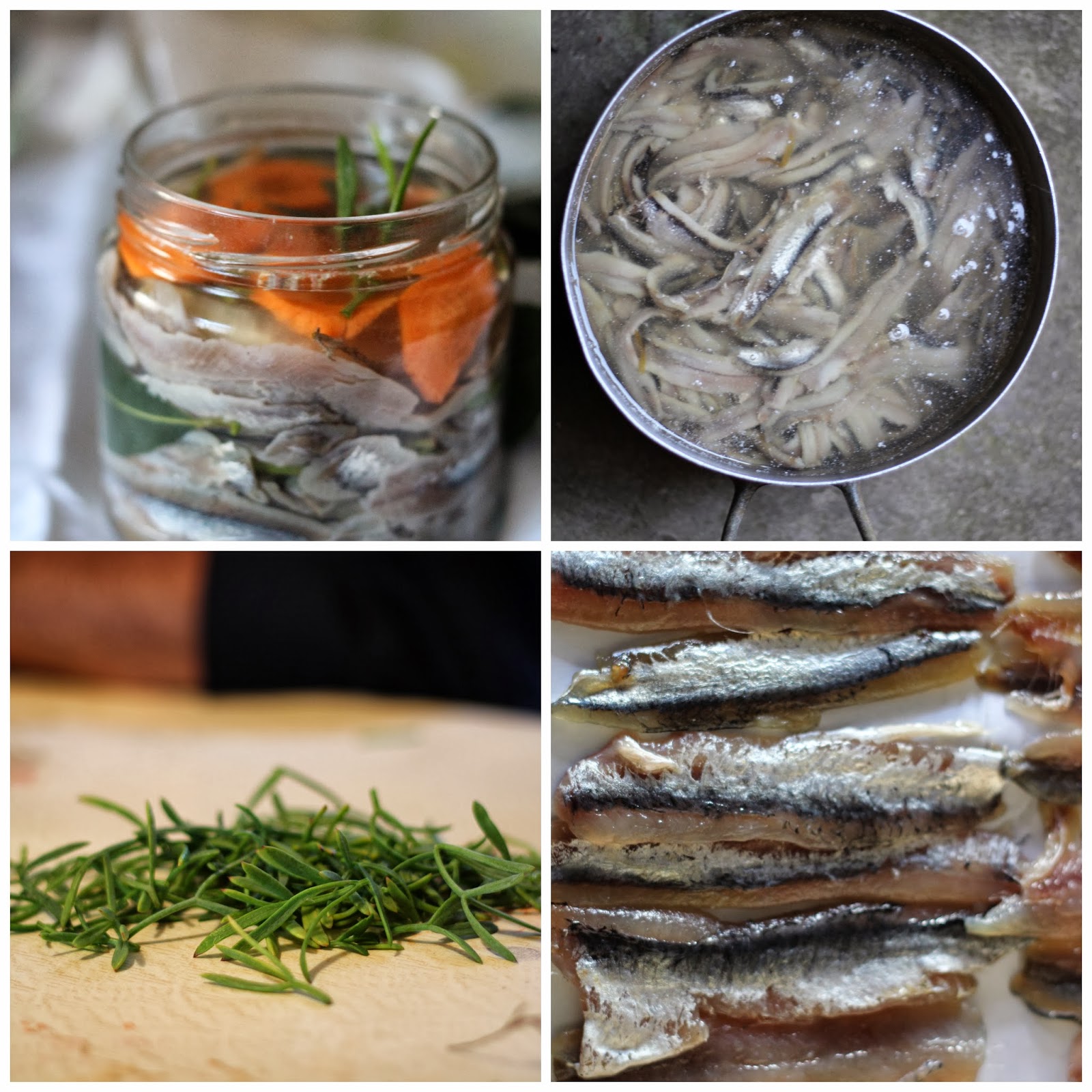 caro fil des jours...: Anchois messieurs...anchois mesdames...anchois ...