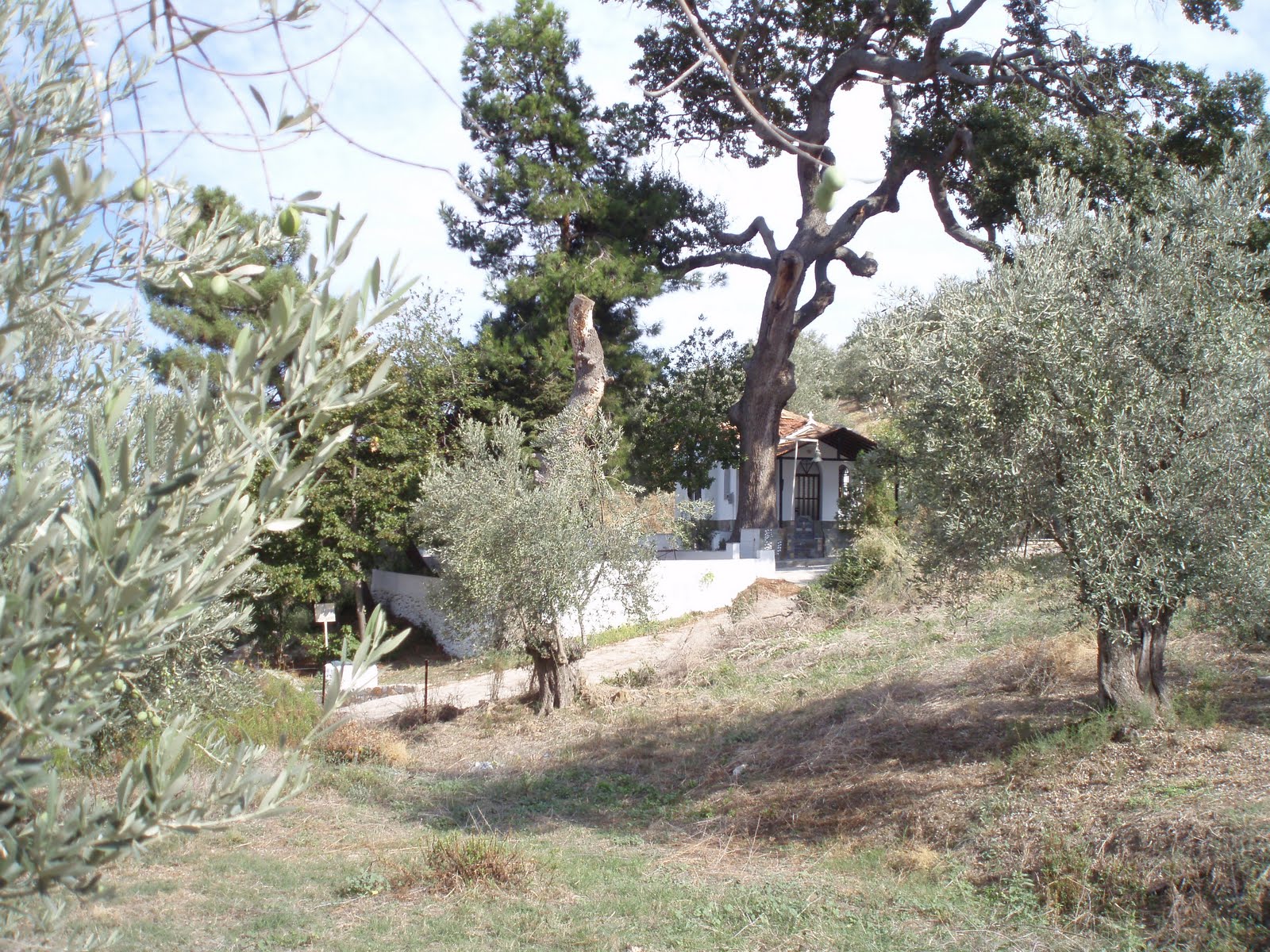 ΘΕΟΞΕΝΙΑ-THEOXENIA ENOIKIAZOMENA ΔΩΜΑΤΙΑ-ROOMS TO LET: ΑΓΙΑ ΜΑΡΙΝΑ ...