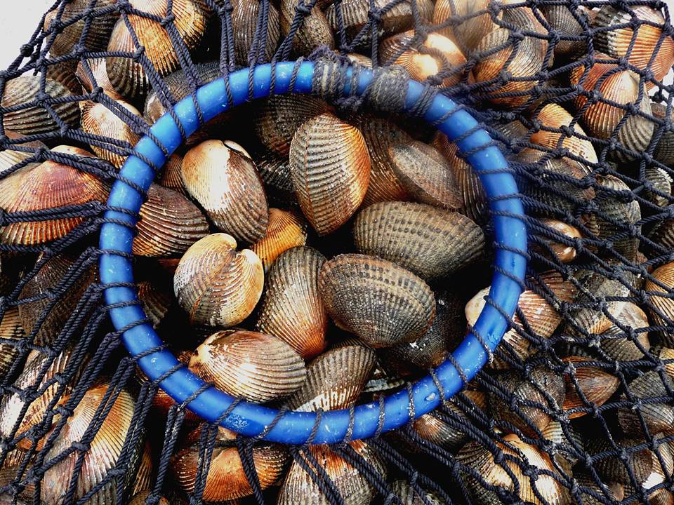 “Más cultura para un mejor país”: Flora y Fauna de Tumbes