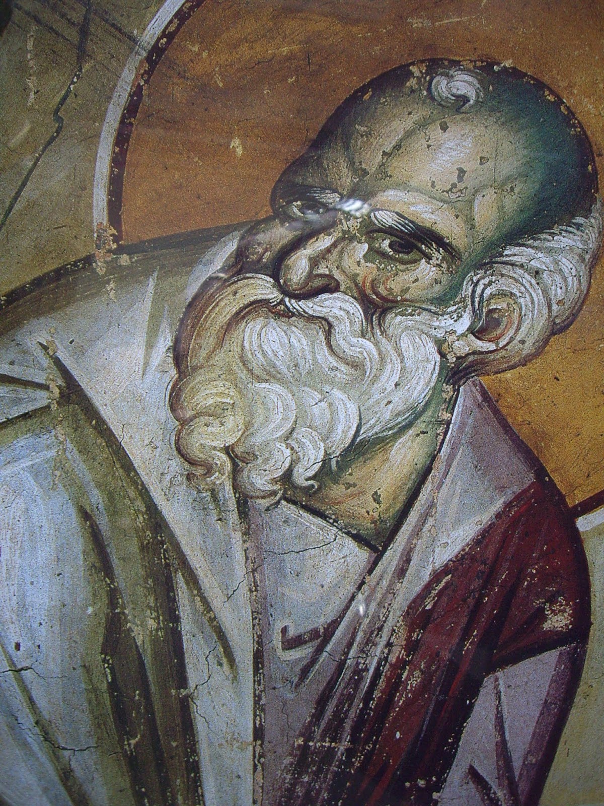 ΖΩΓΡΑΦΙΚΗ ΤΕΧΝΗ