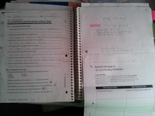 IBTEACHNU Language Arts: Interactive notebooks