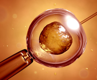 Fertility Biocenter: How To Ensure Embryo Viability In Your Culture System