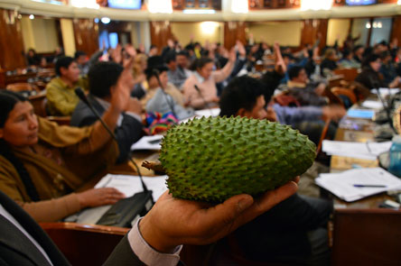 Declaran prioridad nacional la producción de sinini y asaí | AGRONOMIA