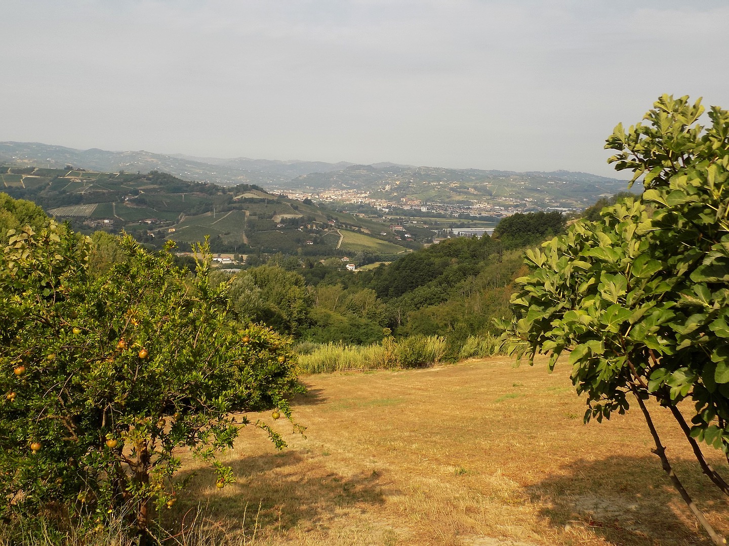 Fotografando...: Calamandrana (AT)