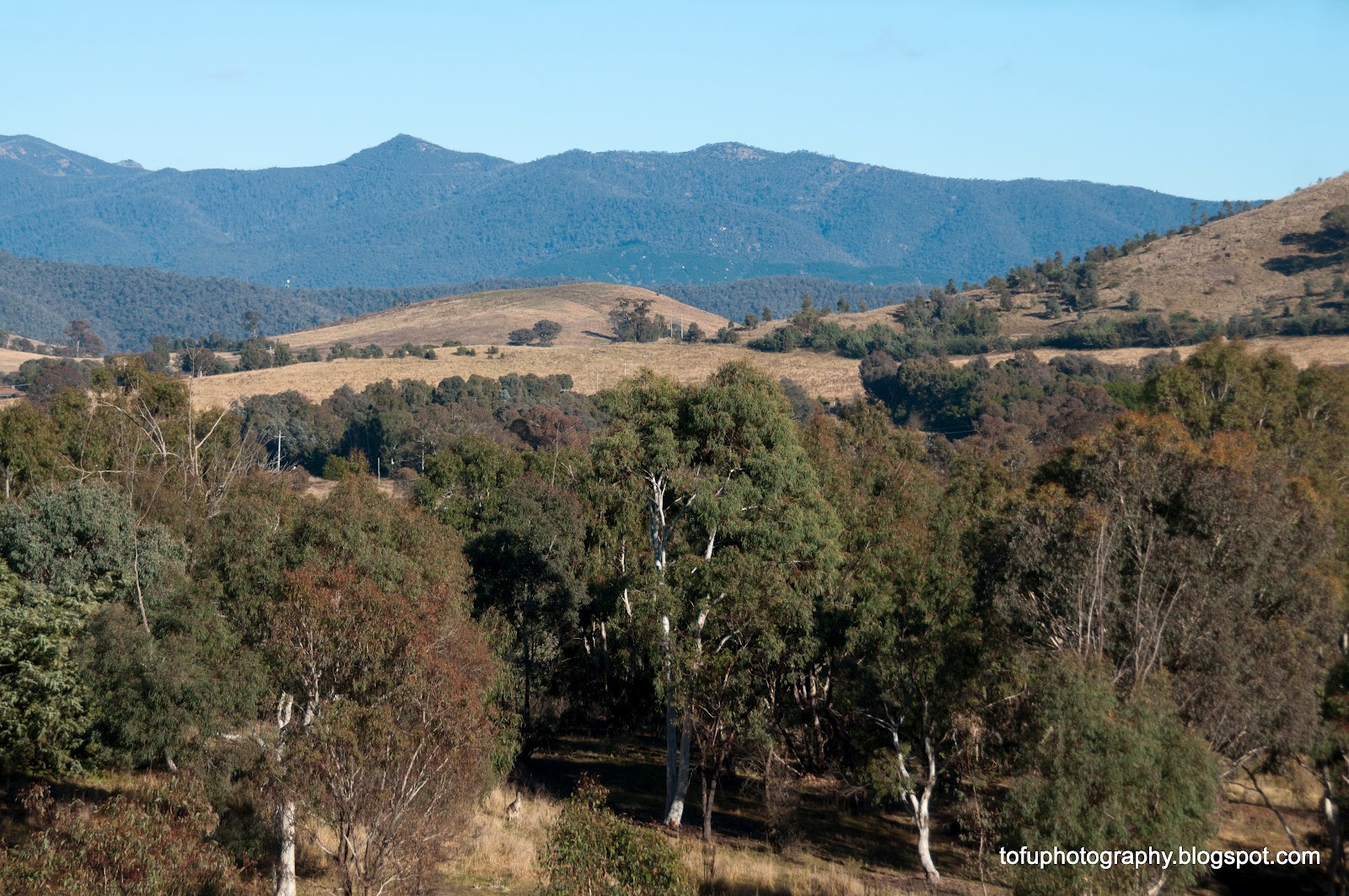 Tofu Photography: Canberra hills