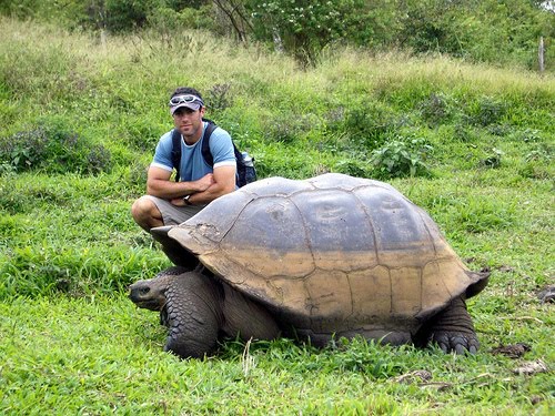AJORBAHMAN'S COLLECTION: Alien Giant Tortoise Helps Restore Ecosystem