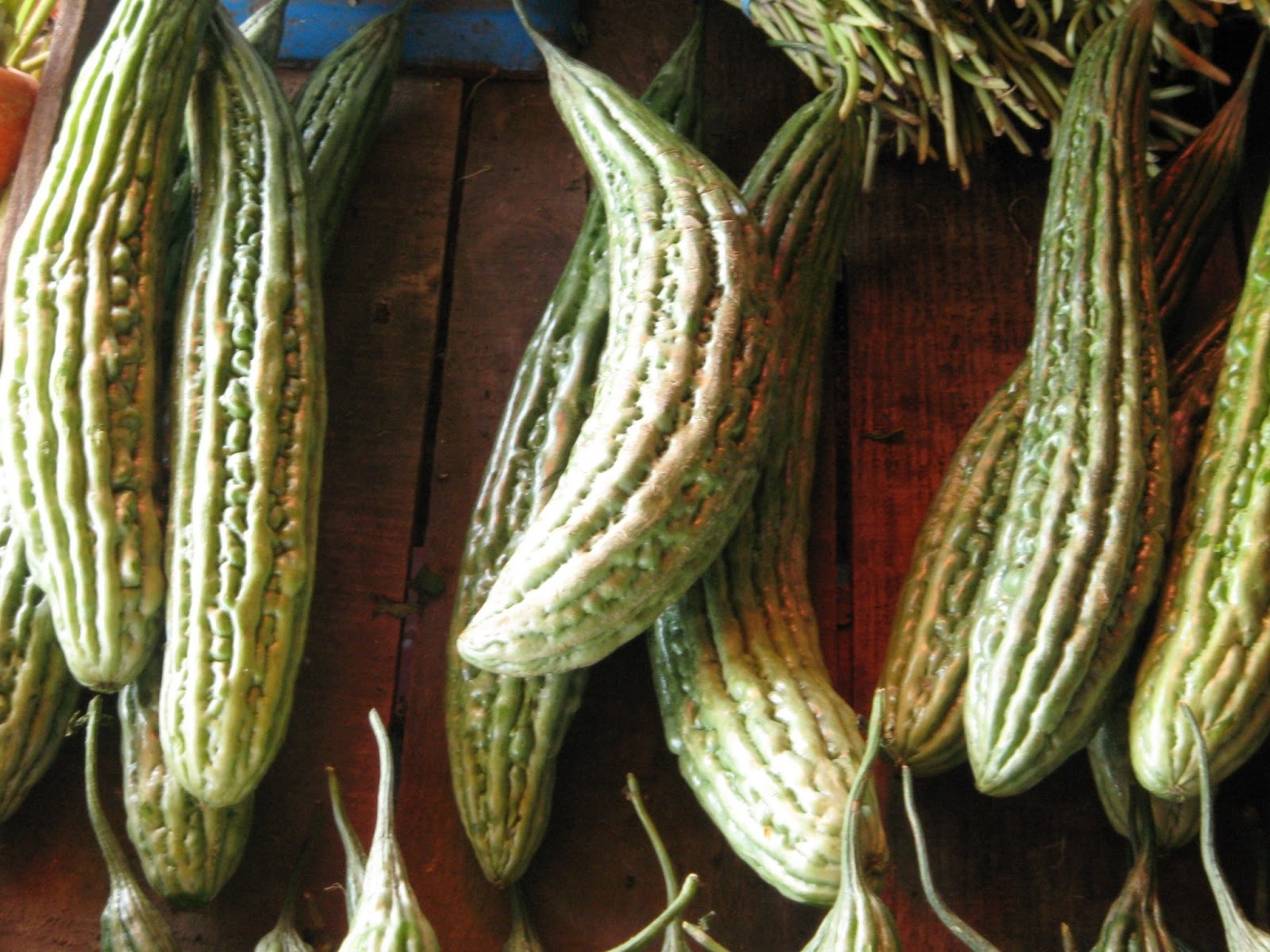 bucaio: Ampalaya Salad