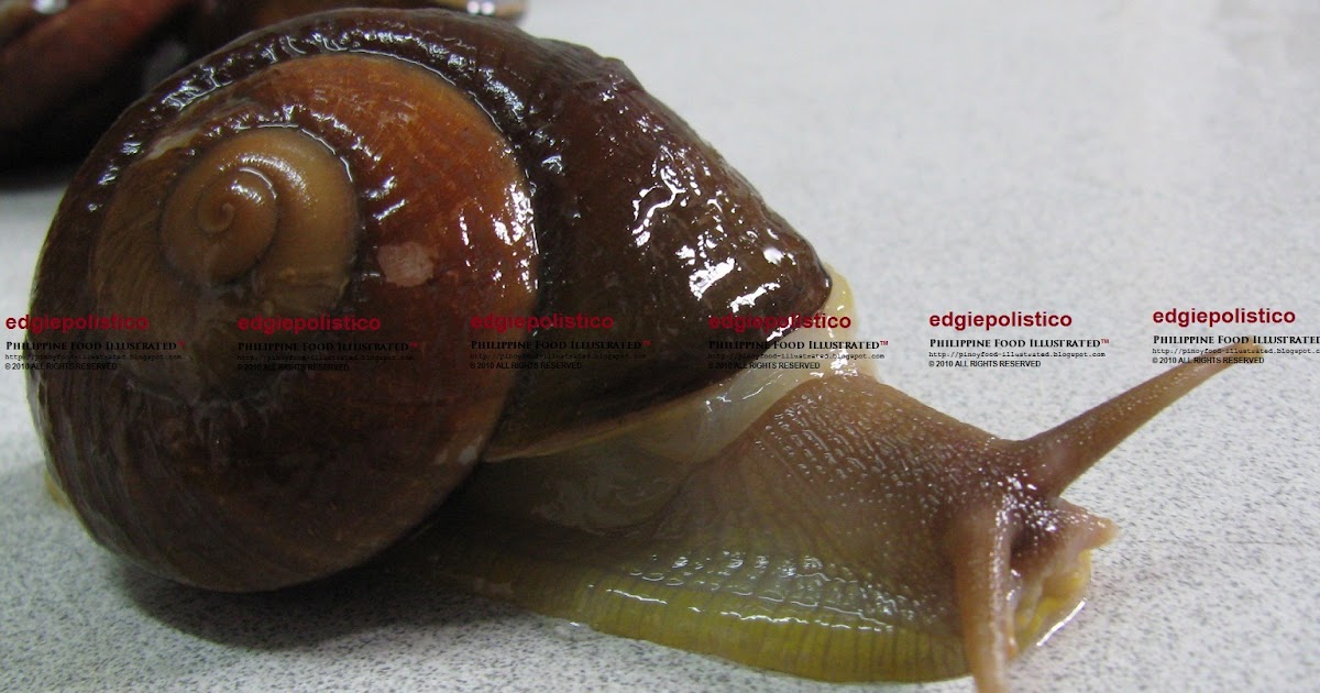 Philippine Food Illustrated: taklong