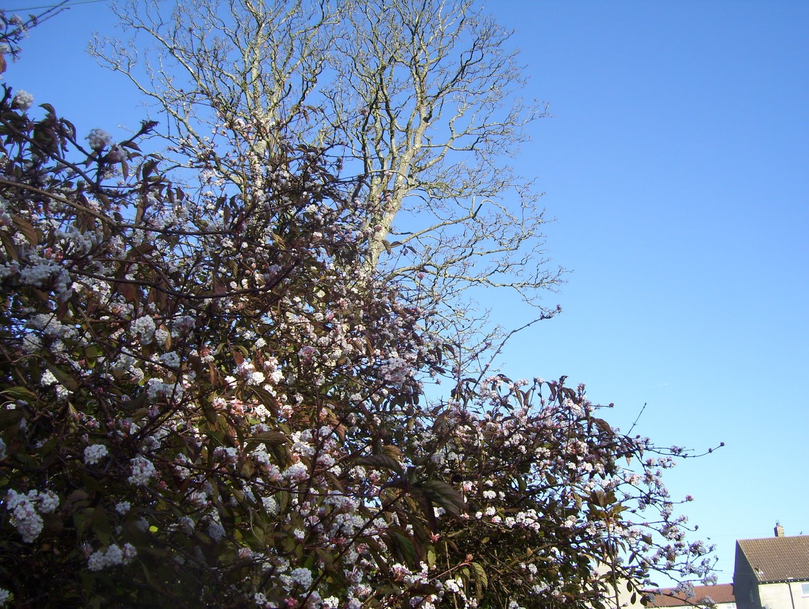 Rev Dr Susan Ramsaran: 2018