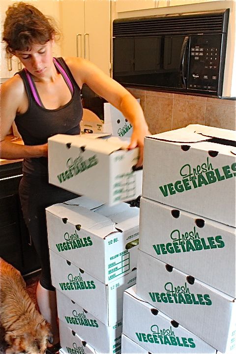 Squash Blossom Farm: End of Summer CSA Boxes