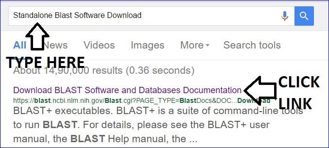 Download Standalone Blast Software - | Bioinformatics
