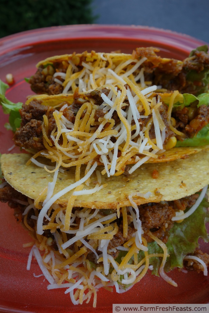 Farm Fresh Feasts: Stretching Meat, Part 1: Tacos