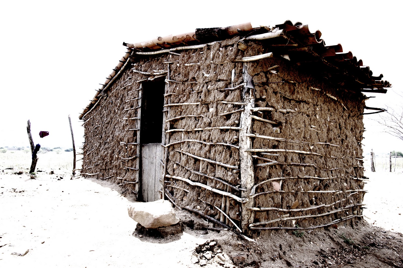 ECOCASA PORTUGUESA: Casas em Taipa