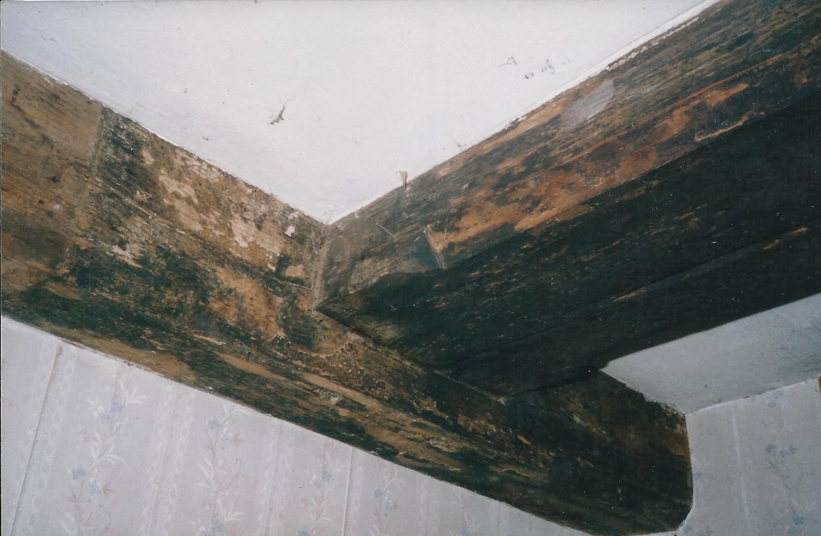 Antique Houses Of Gloucester And Beyond: THE STRANGE STORY OF THE OLD ...