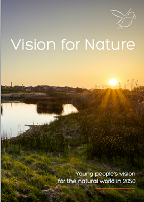 Non-Stop Birding: A Vision for Nature