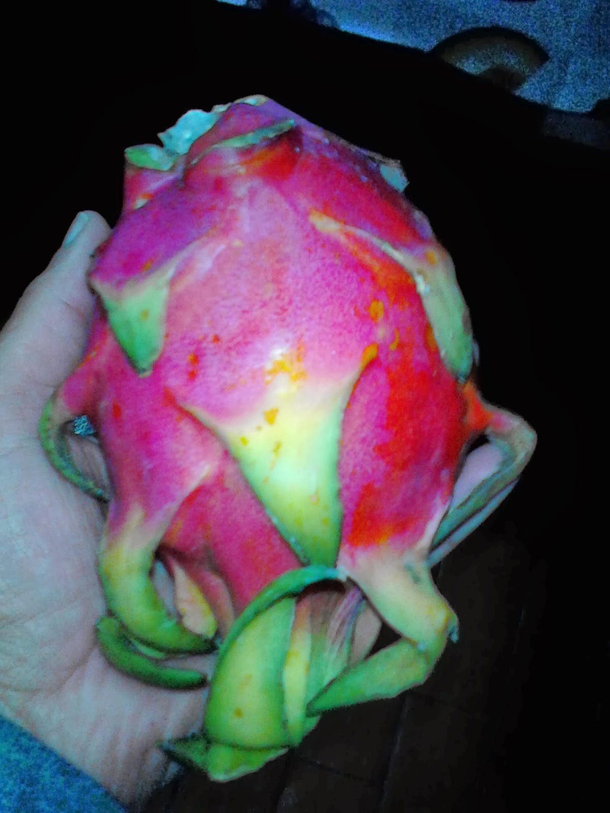 A Minha Pequena Horta: Pitaya Rosa - A fruta do momento, A Prova