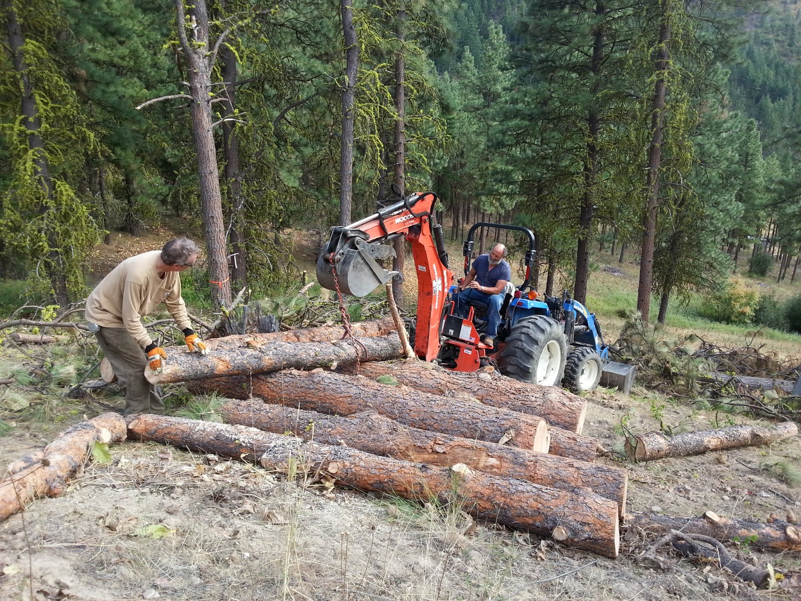 Small Forest Timber Owner Blog for WA: Wildlife slash pile construction ...